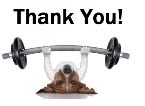 Thank you Fitness – Jack Russell Rescue