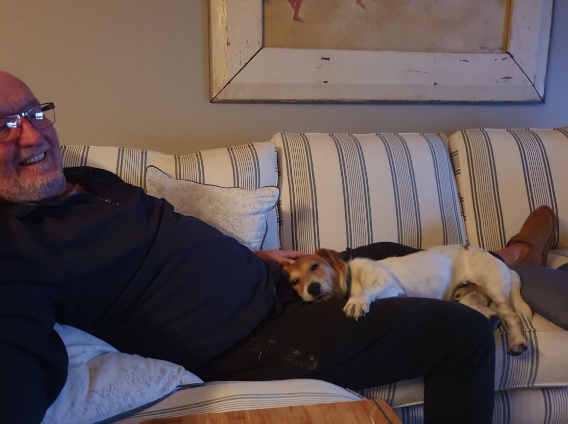 Private Rehomings – Jack Russell Rescue